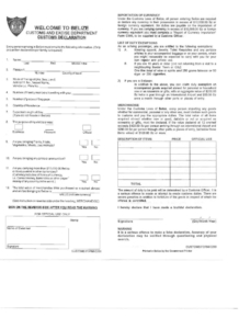 The digital arrival card in Belize